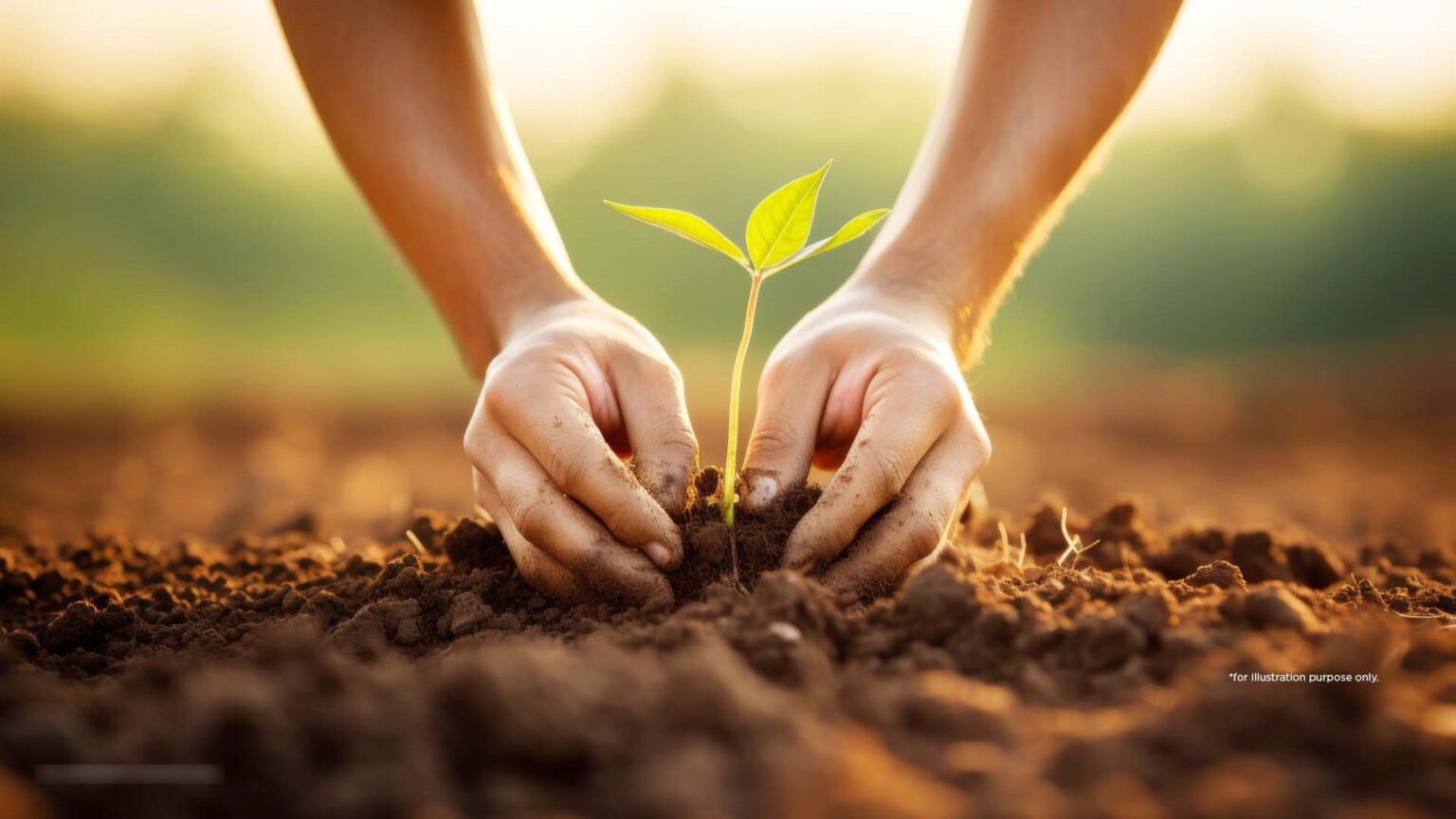 TNB Fuel Sdn Bhd – Securing Fuel for the Nation