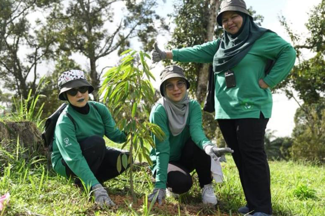 ARBORETUM WALK & PLANT A TREE DAY (AN ESG PROGRAM) – TNB Fuel Sdn Bhd