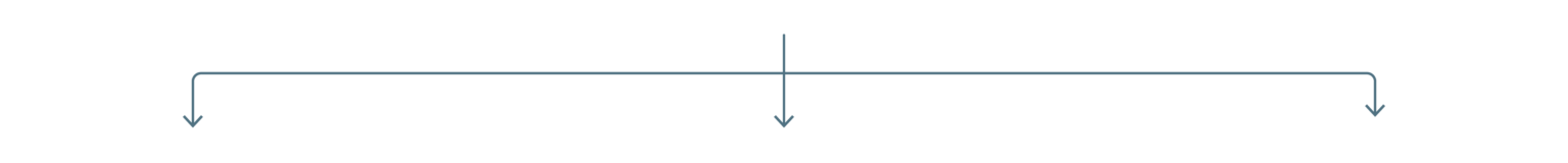 TNBF Functional Structure – TNB Fuel Sdn Bhd