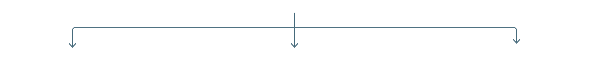 TNBF Functional Structure – TNB Fuel Sdn Bhd